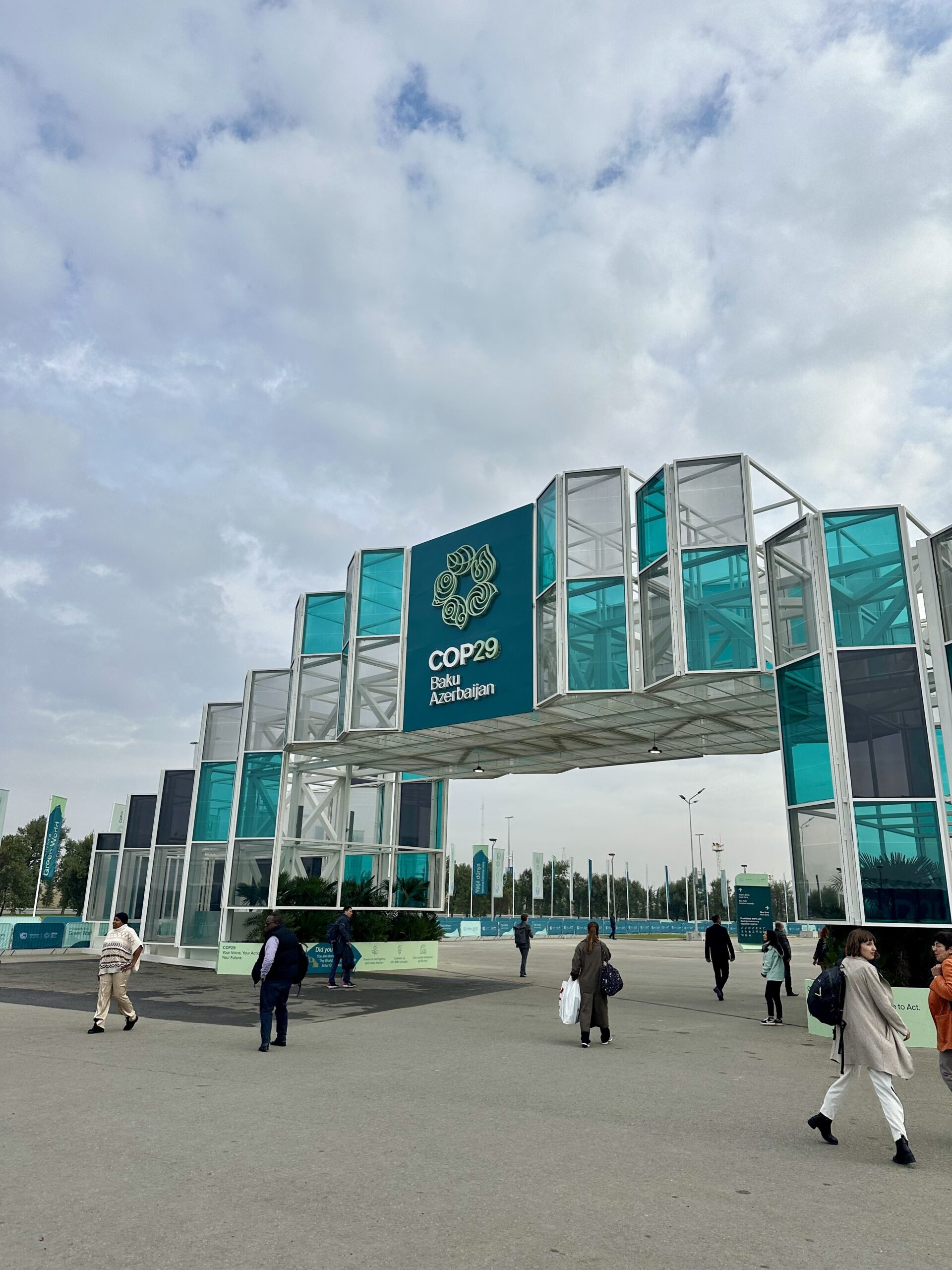 At COP29, dancing delegates, purring cats and long days - Cipher News