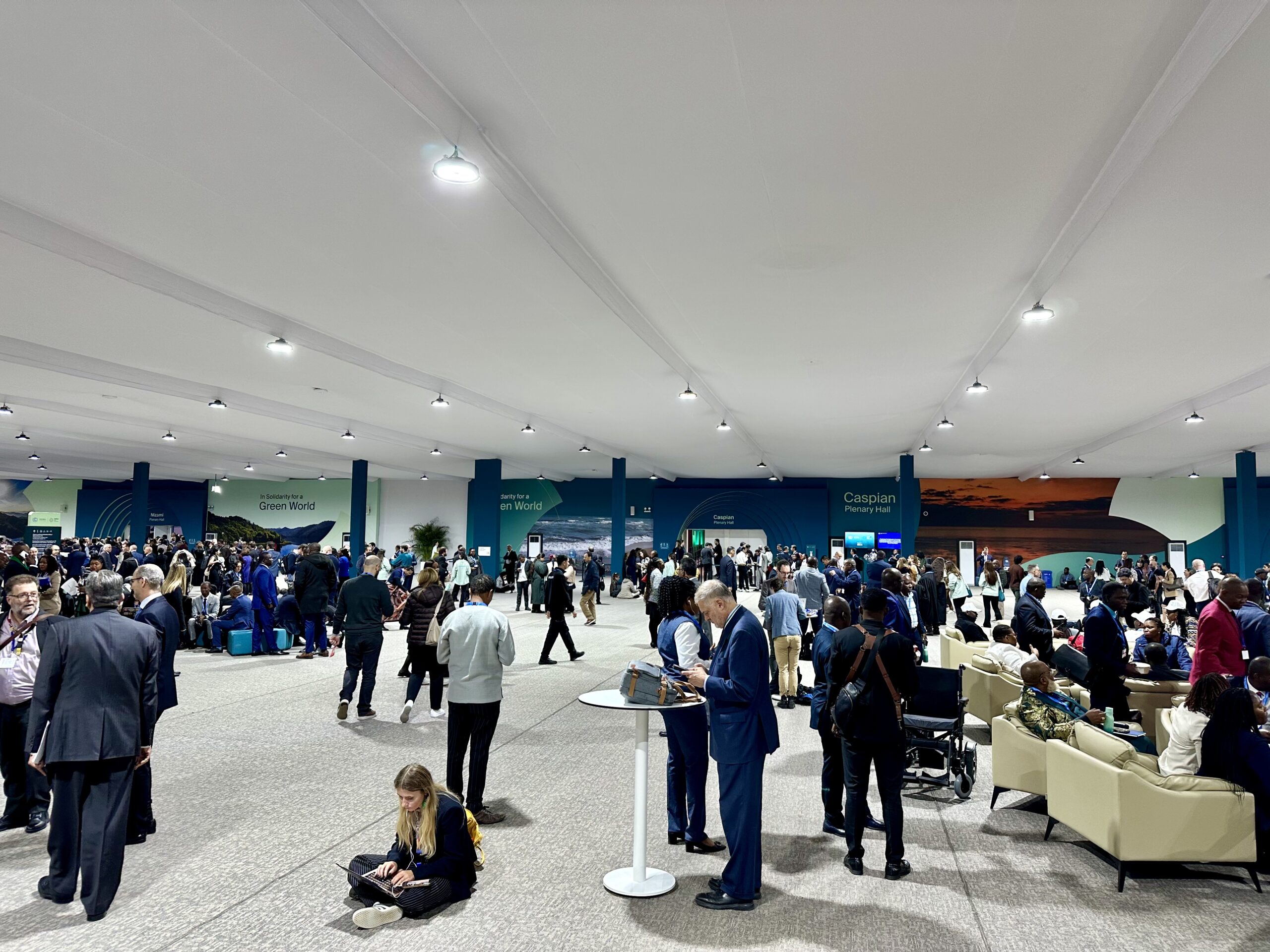 At COP29, dancing delegates, purring cats and long days - Cipher News